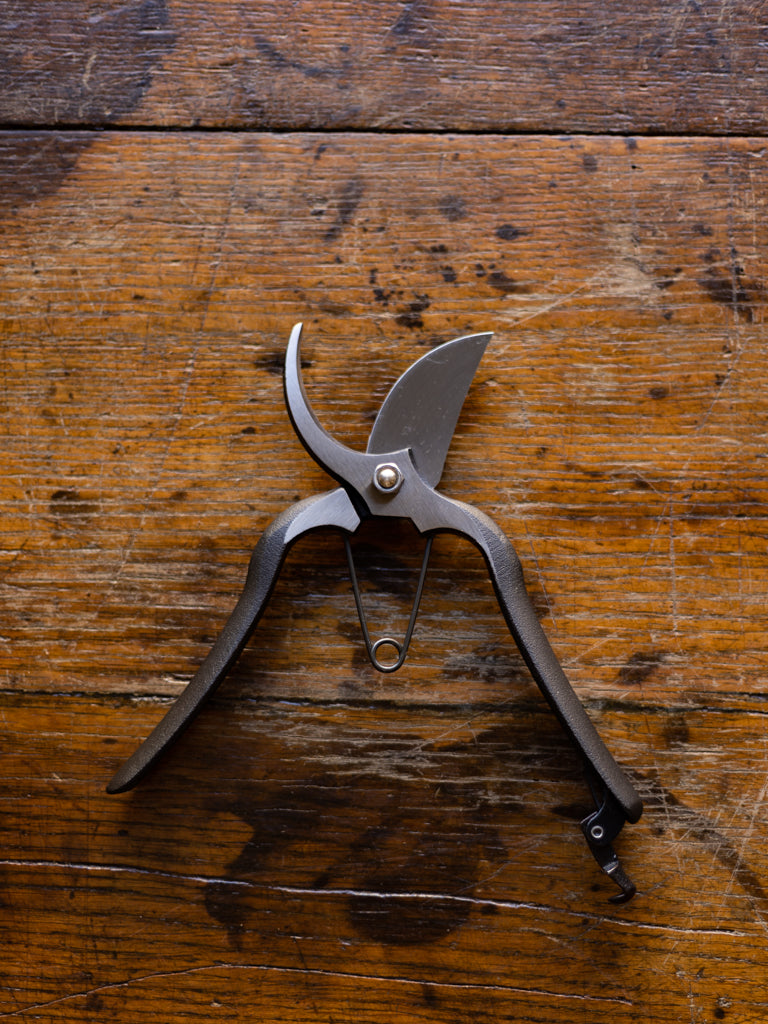Traditional Japanese Pruner – Est Australia Pty Ltd