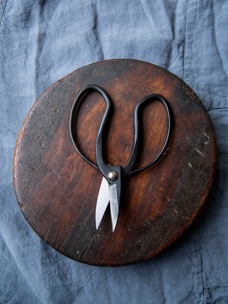 Japanese Steel Scissors – Est Australia Pty Ltd